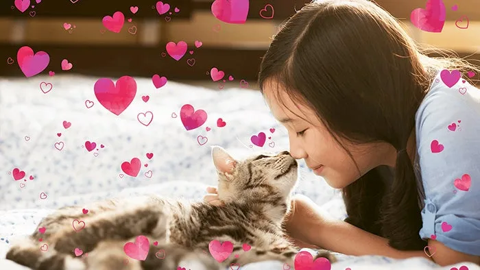 Adobe Photoshop Elements 2020 & Premiere Elements 2020: Kreativität ...